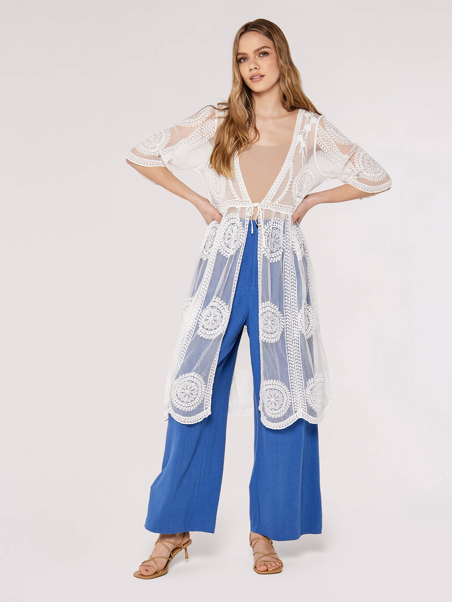 Embroidered Mesh Cover Up | Apricot Clothing